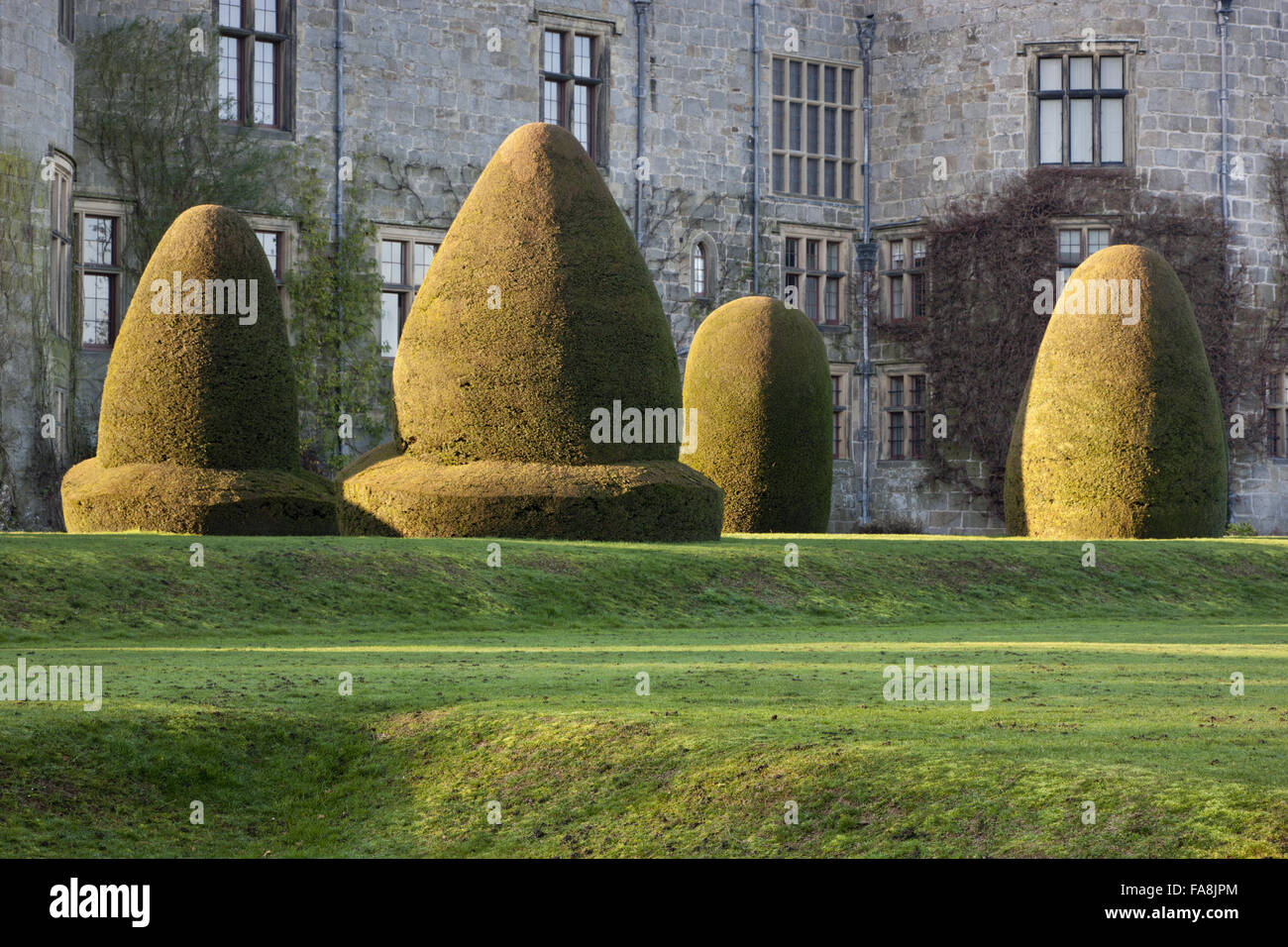 Yew topiary and the castle walls hi-res stock photography and images ...
