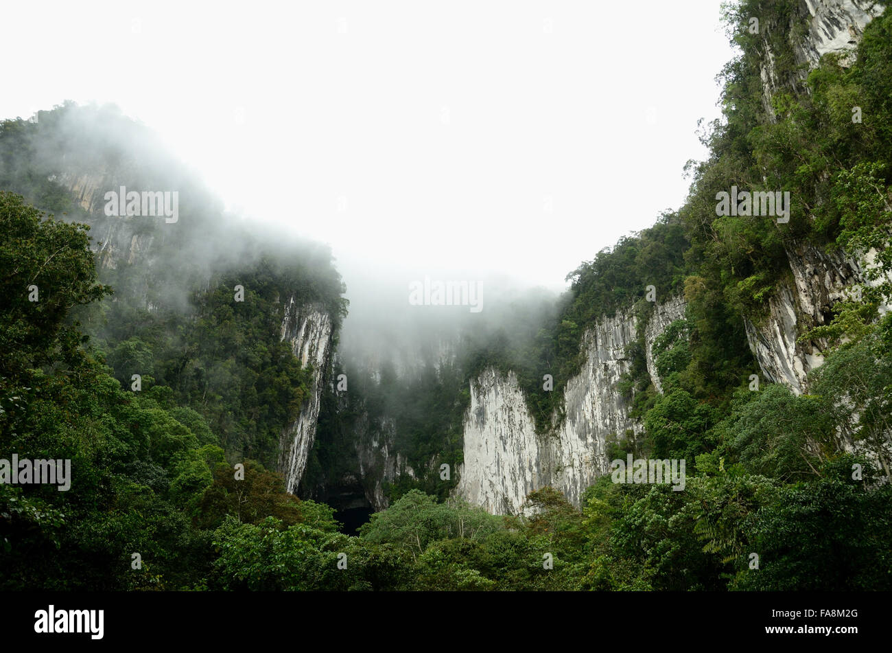 Deer cave in Gunung Mulu National Park Borneo Malaysia Stock Photo - Alamy