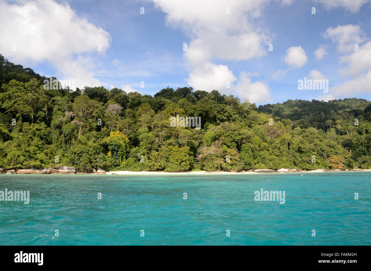 Tioman island fish hi-res stock photography and images - Alamy