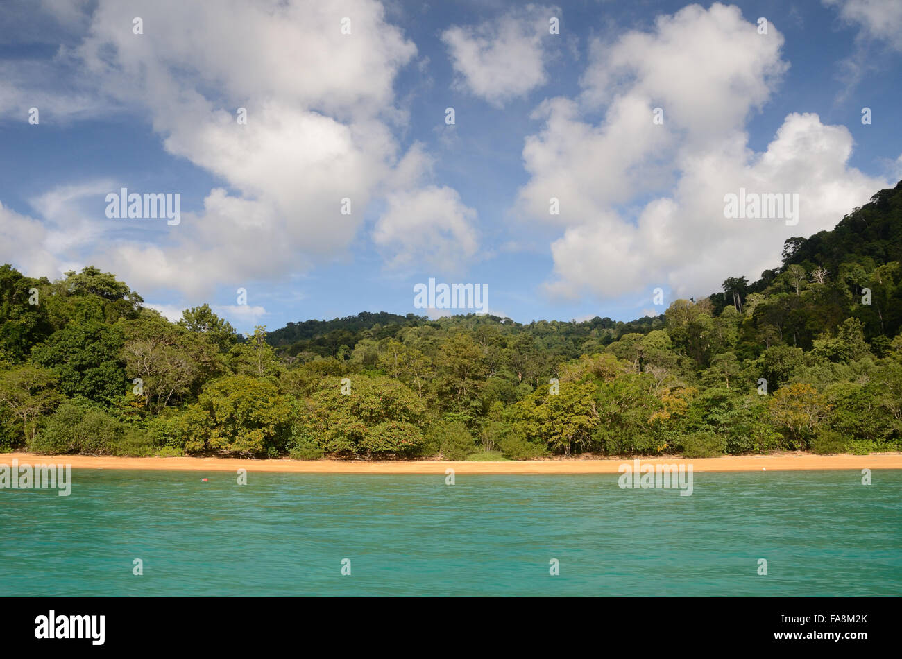 Beach in Tioman island Malysia Stock Photo - Alamy