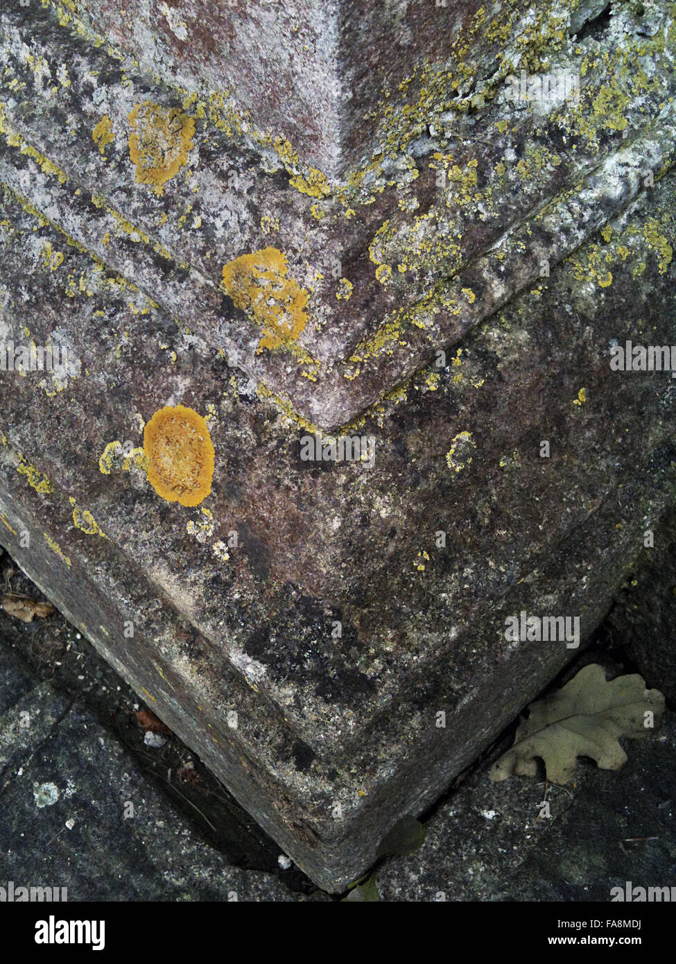 Lichen on the Palladian Bridge at Prior Park Landscape Garden, Bath ...
