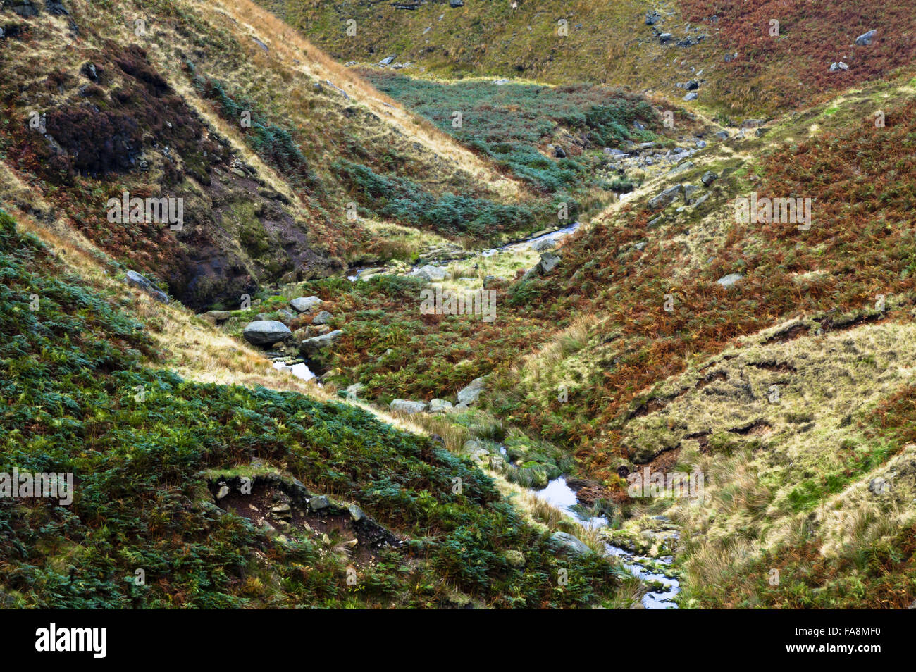 Wessenden Valley in autumn on Marsden Moor Estate, West Yorkshire Stock ...
