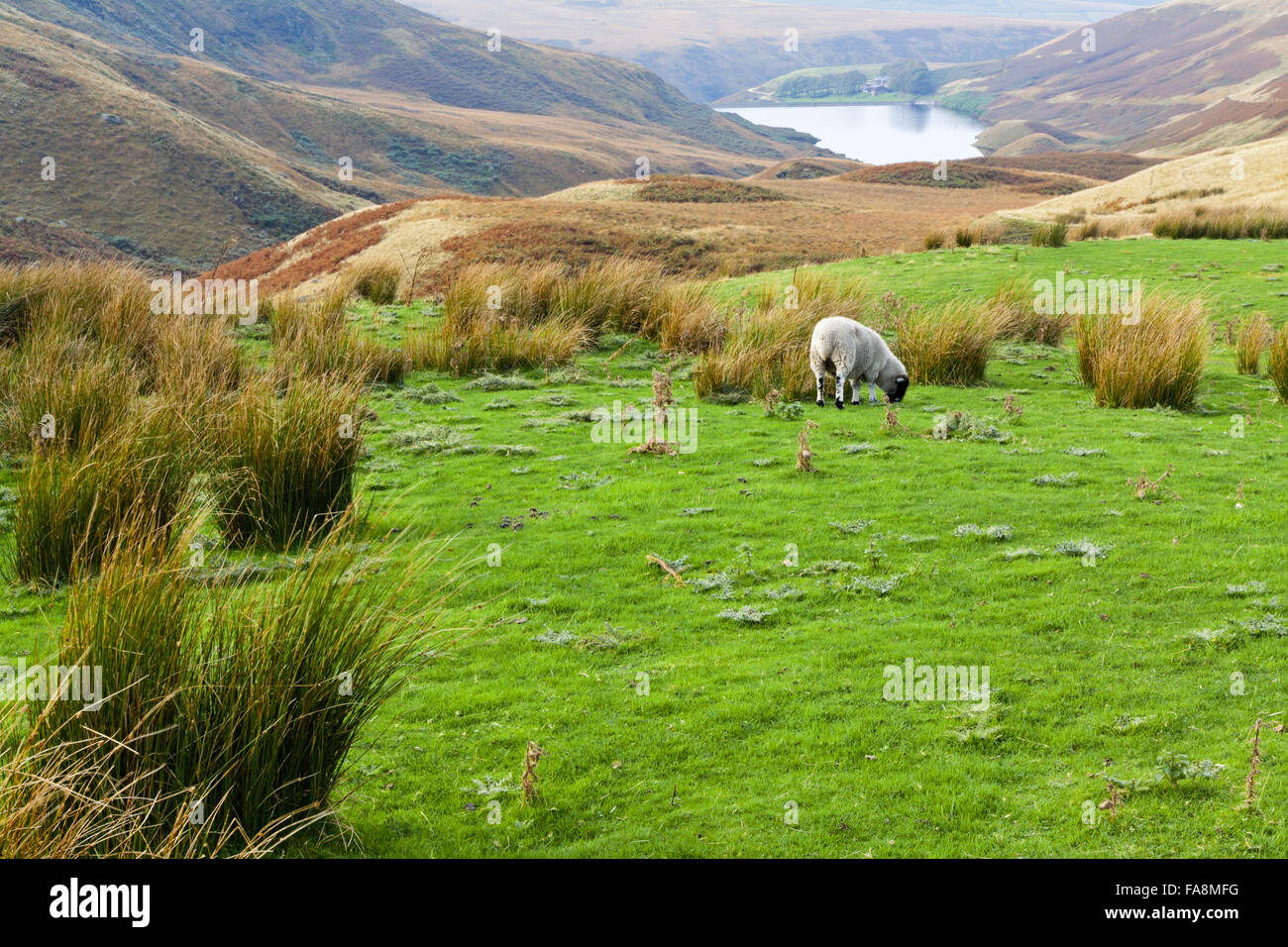 View looking north from Wessenden Head towards Wessenden Reservoir on ...