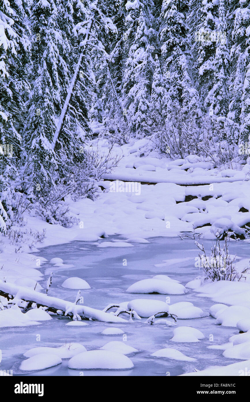 Winter in Jasper National Park, Canada Stock Photo - Alamy