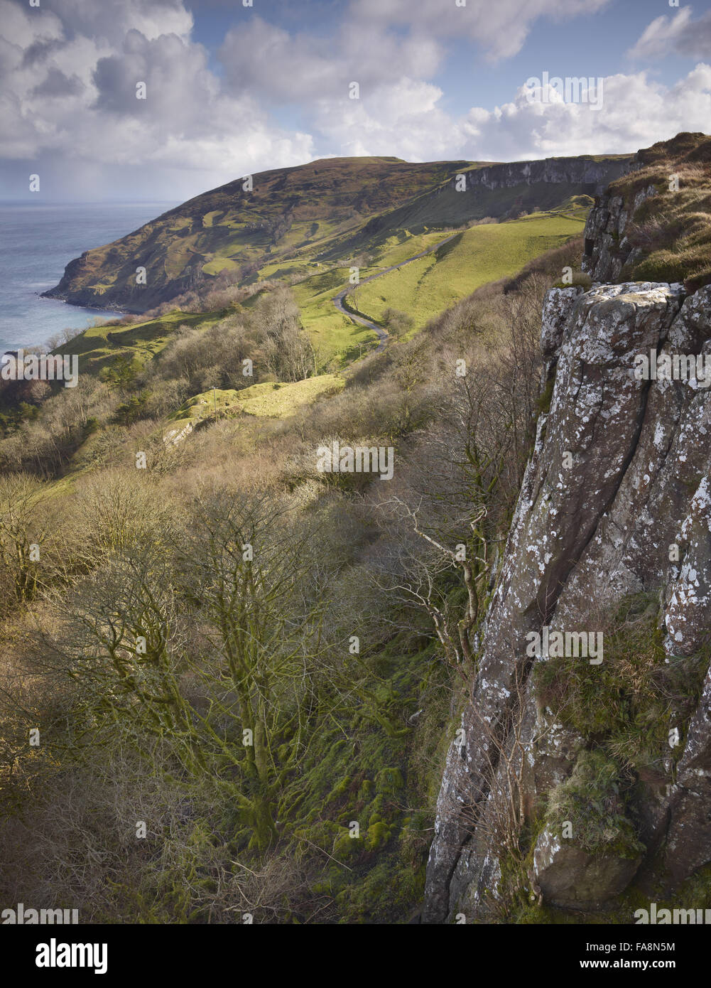 Antrimanddowngallery hi-res stock photography and images - Alamy