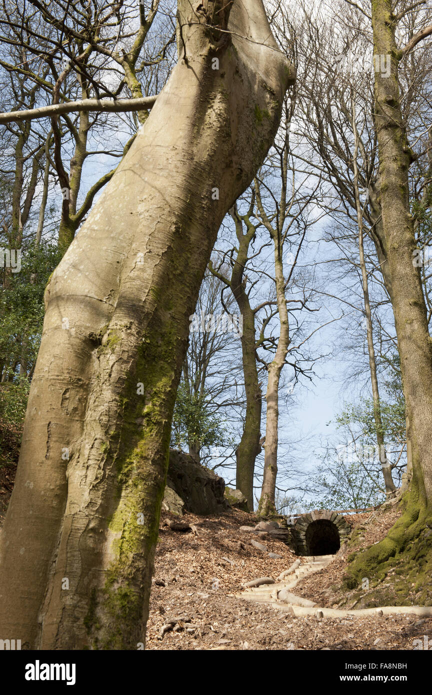 Steps towards the viewing tunnel in the grounds at Allan Bank, once ...