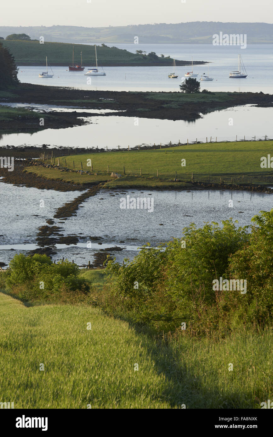 Antrimanddowngallery hi-res stock photography and images - Alamy