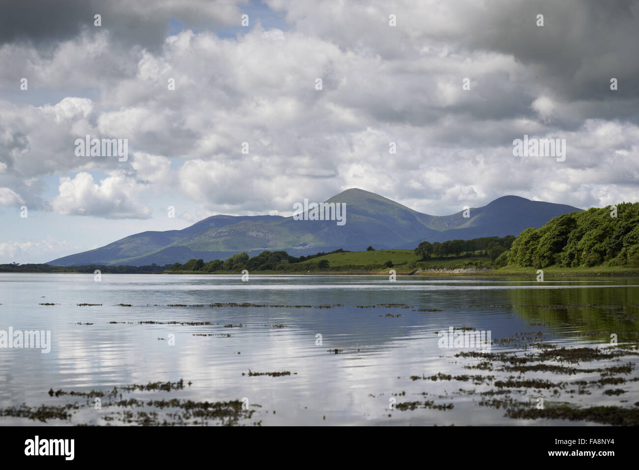 Dundrum Bay, Murlough National Nature Reserve, County Down, Northern ...