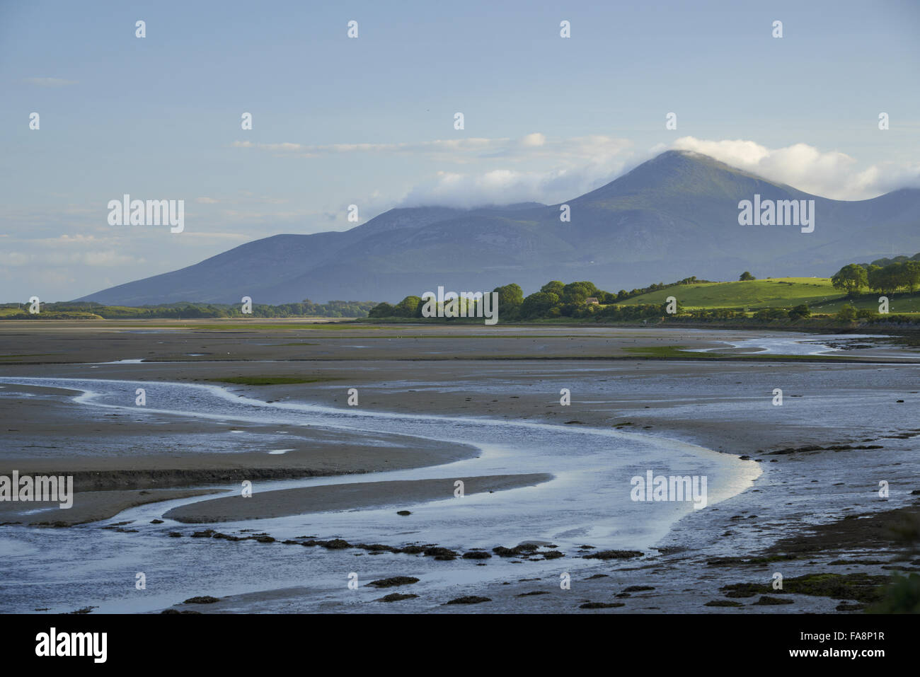 Dundrum Bay, County Down, Northern Ireland. The Mourne Mountains rise ...