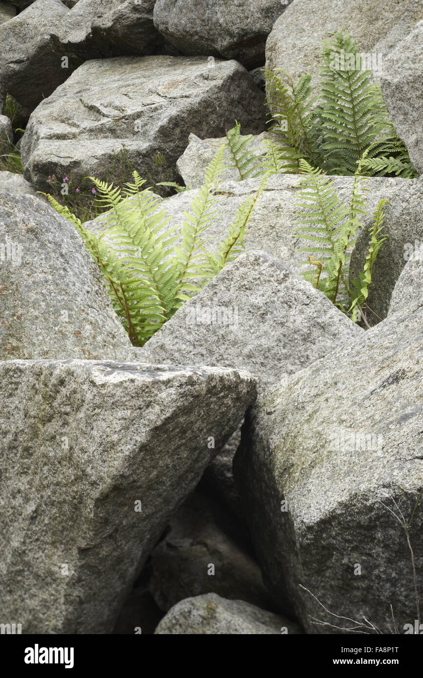 The brandy pad smuggler’s route hi-res stock photography and images - Alamy