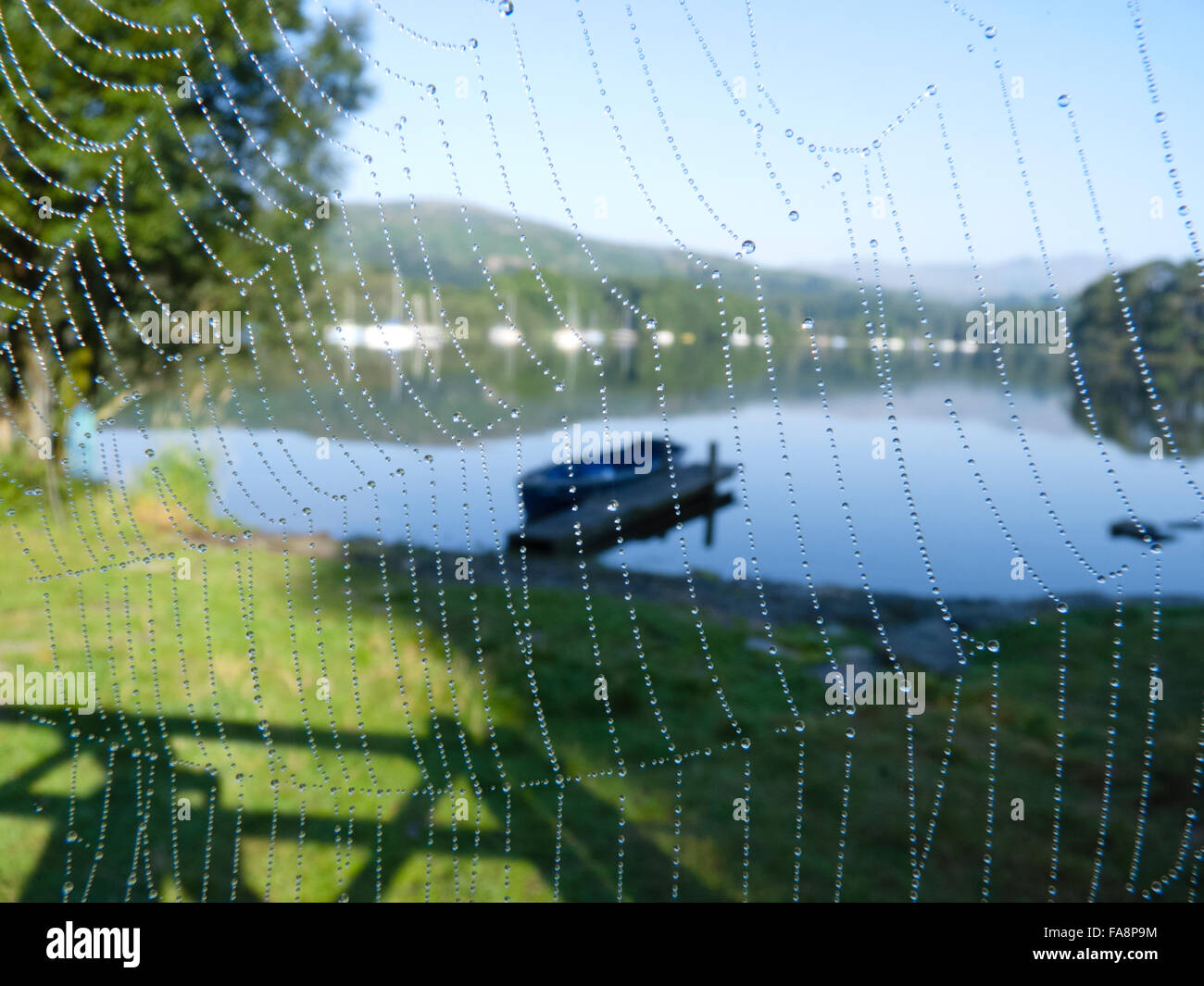 Spider web gate hi-res stock photography and images - Alamy