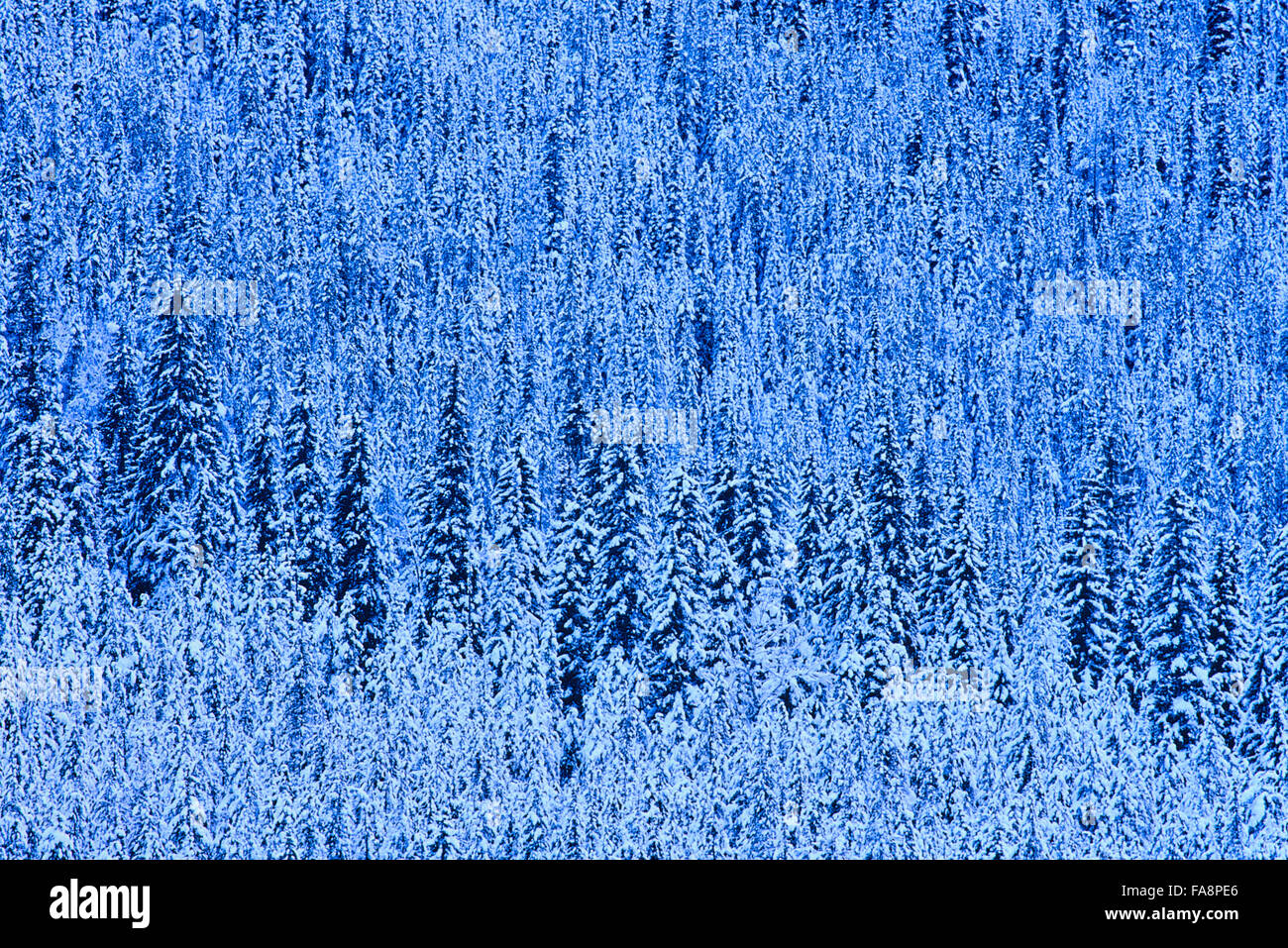 Winter in Jasper National Park, Canada Stock Photo - Alamy