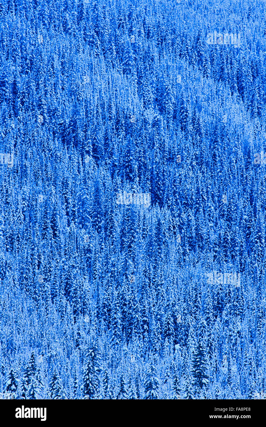 Winter in Jasper National Park, Canada Stock Photo - Alamy