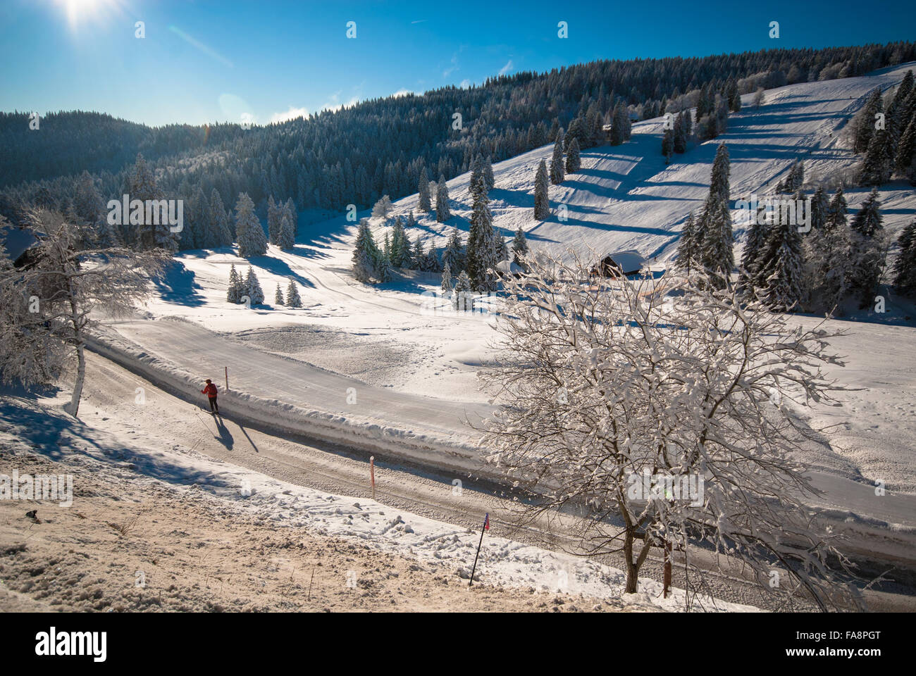 winter landscape with wood and cabin in feldberg germany Stock Photo ...