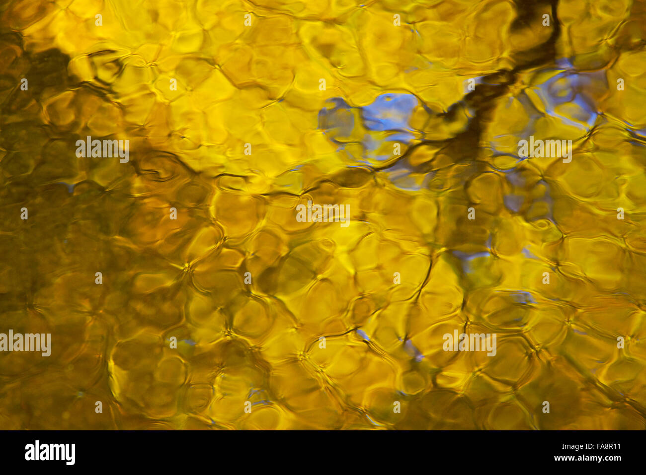 Autumn color on middle hi-res stock photography and images - Alamy