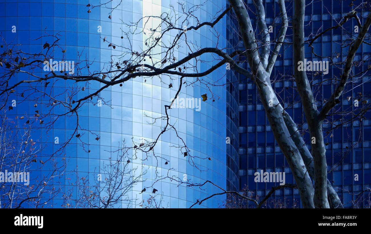 Tree sky architecture hi-res stock photography and images - Alamy