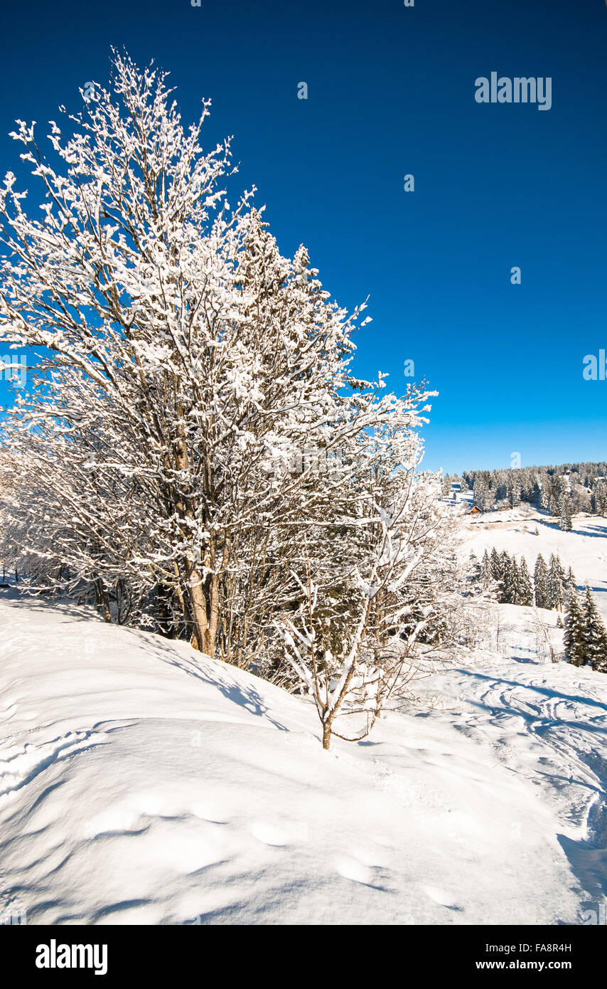 Germany winter snow hi-res stock photography and images - Alamy