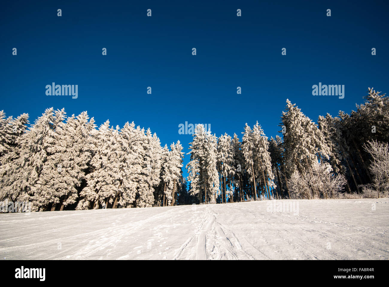 snow covered winter landscape in feldberg in southern germany Stock ...
