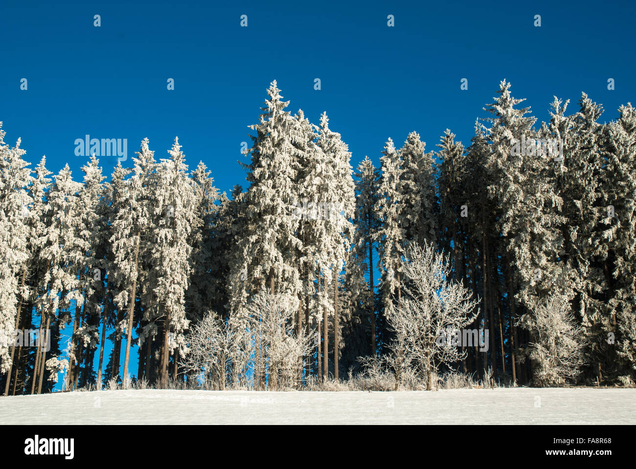 snow covered winter landscape in feldberg in southern germany Stock ...