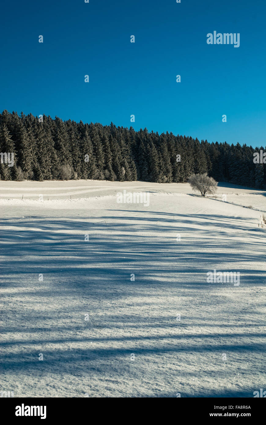 snow covered winter landscape in feldberg in southern germany Stock ...