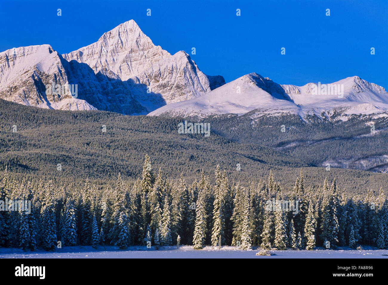 Winter in Jasper National Park, Canada Stock Photo - Alamy