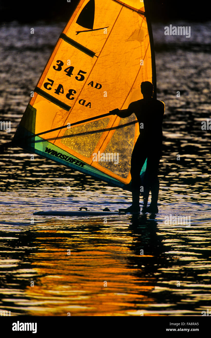 wind sailing on Jasper Lake, Jasper National Park Stock Photo - Alamy