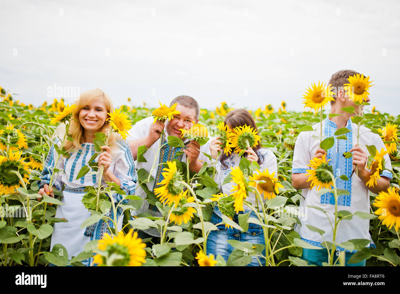 Happy family having fun on sunflowers Stock Photo - Alamy