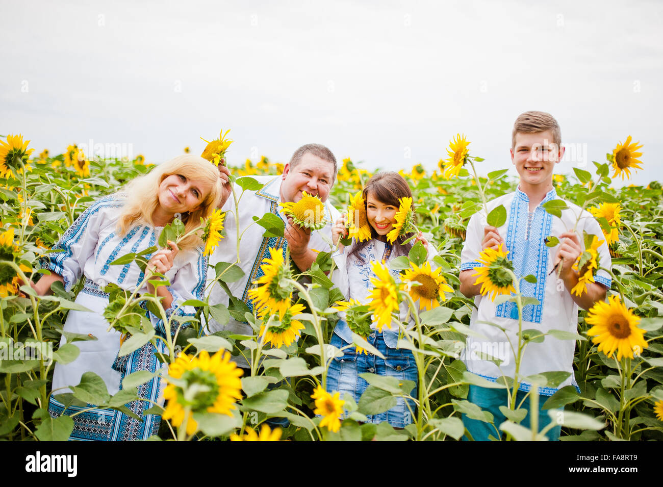 Happy family having fun on sunflowers Stock Photo - Alamy