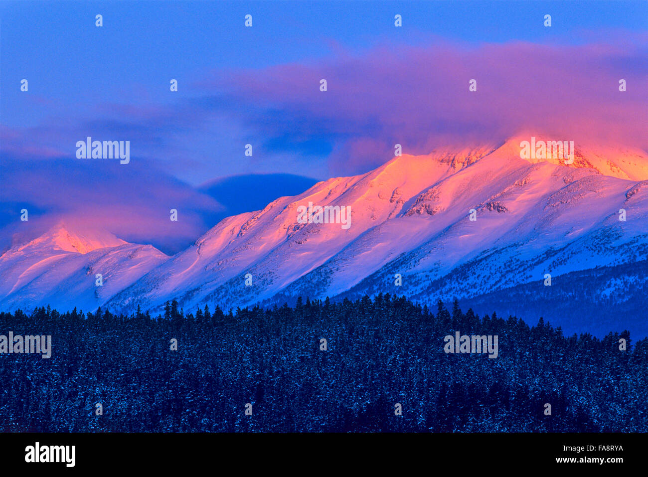 Jasper nat hi-res stock photography and images - Alamy