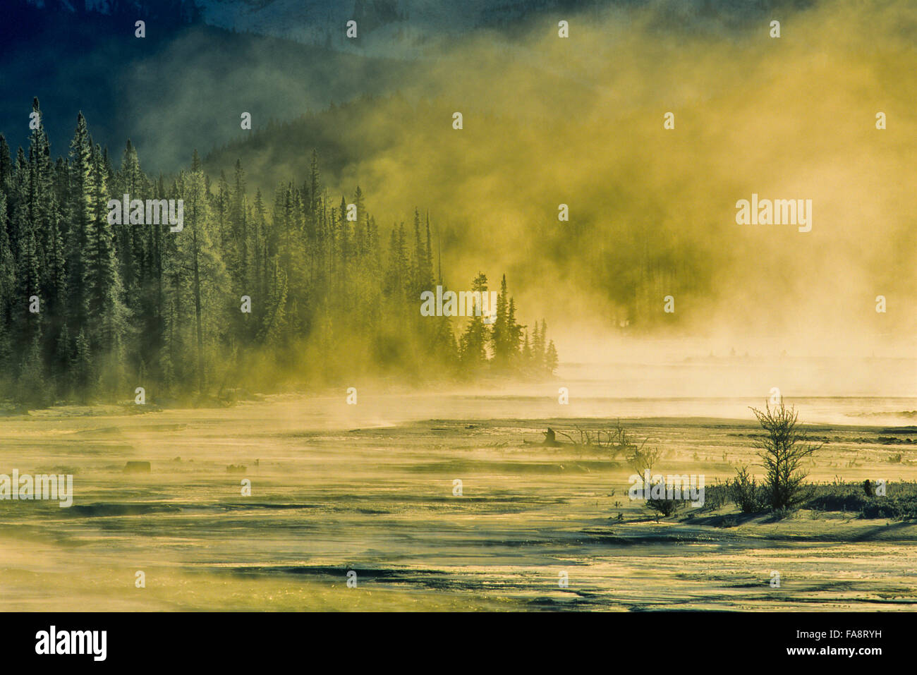Winter in Jasper National Park, Canada Stock Photo - Alamy