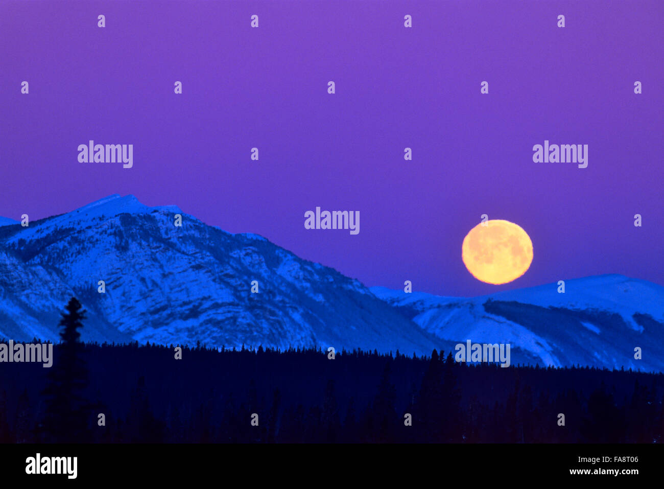 Winter in Jasper National Park, Canada Stock Photo - Alamy