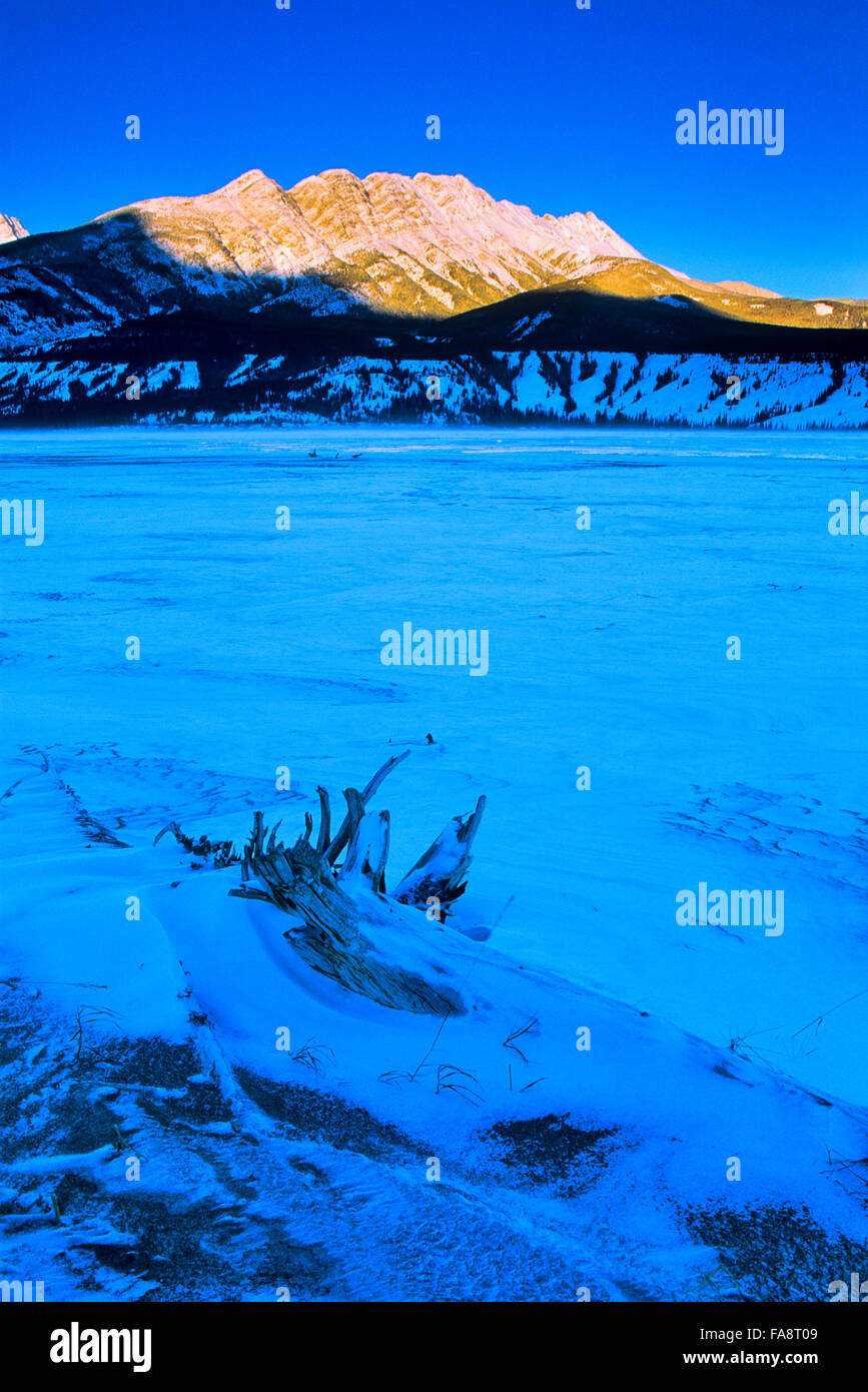 Winter in Jasper National Park, Canada Stock Photo - Alamy