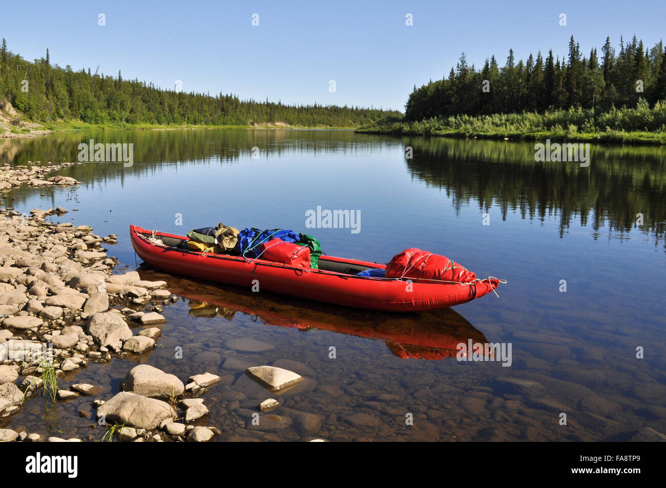 Taiga river Paga, Russia, the Polar Urals. Virgin Komi forests, red ...