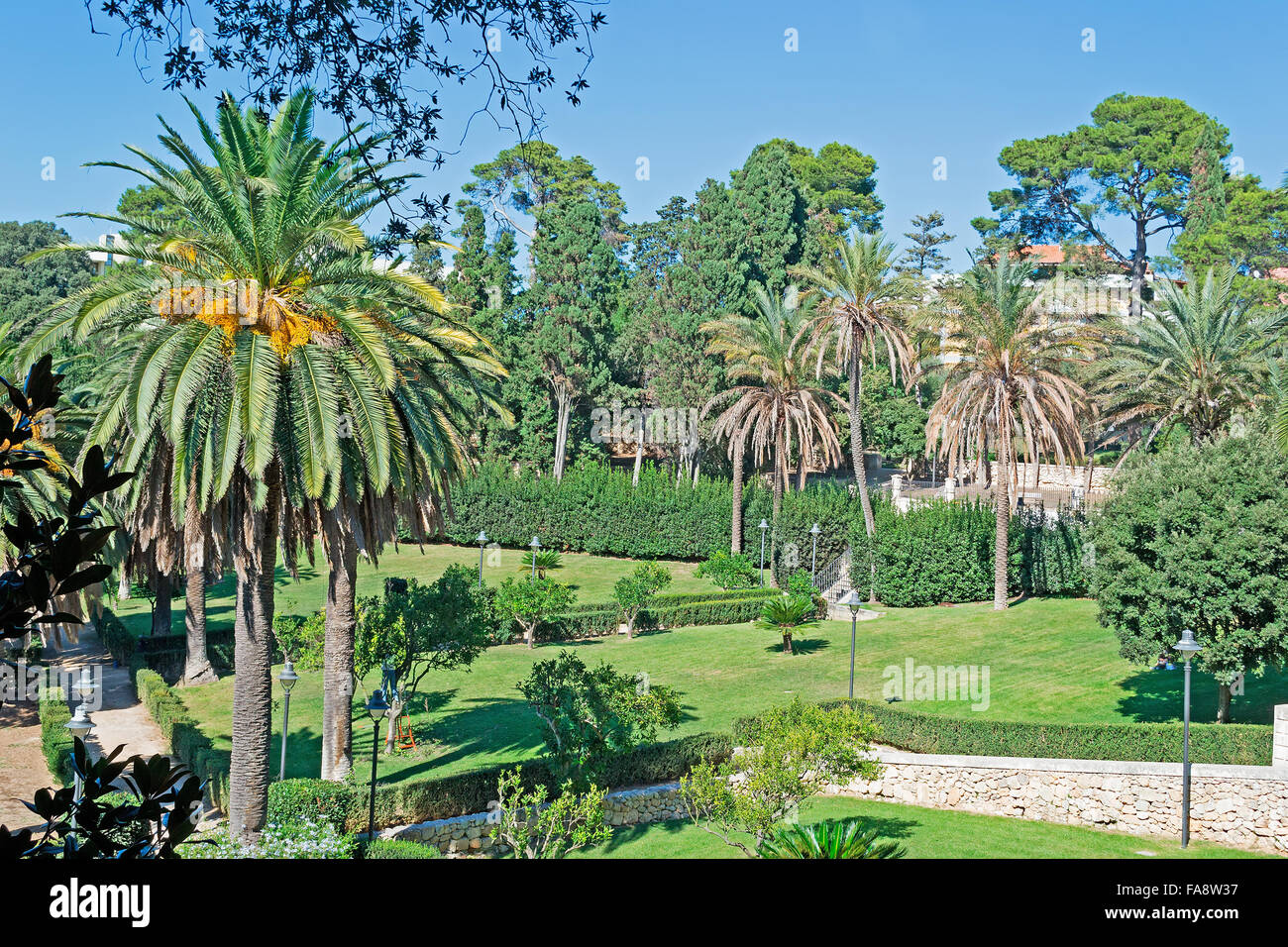 Olive trees in sardinia hi-res stock photography and images - Alamy