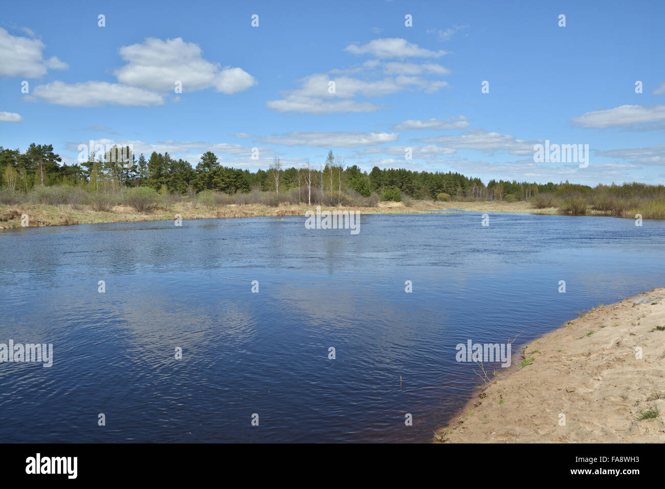 Sunny day at the spring river. Spring landscape, river in the national ...