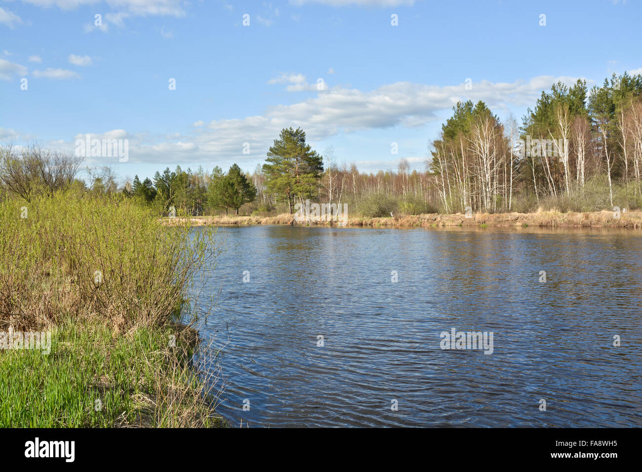Sunny day at the spring river. Spring landscape, river in the national ...