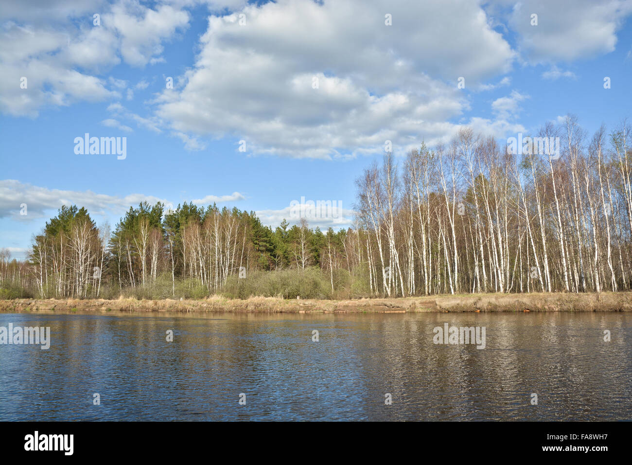 Sunny day at the spring river. Spring landscape, river in the national ...