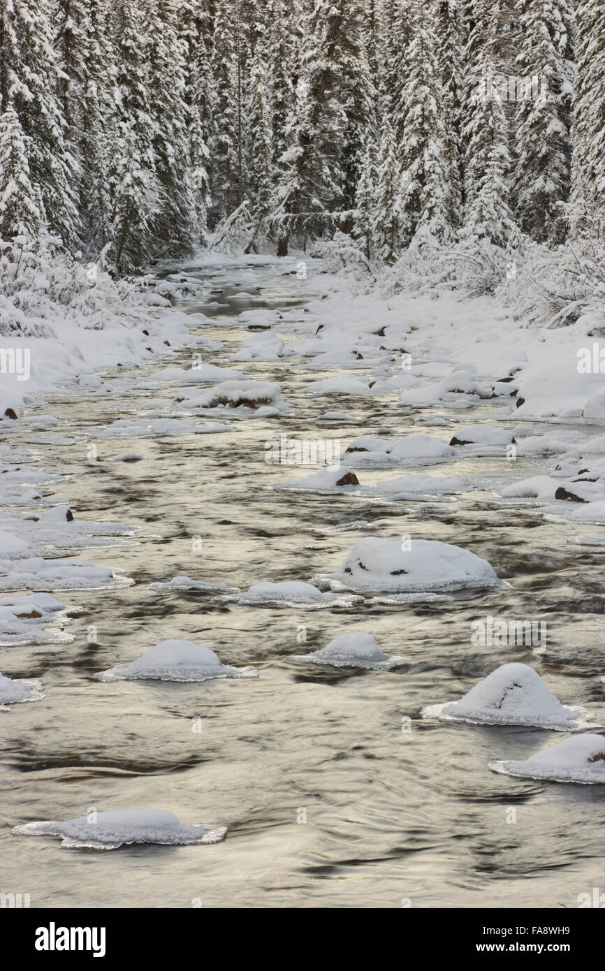 Winter in Jasper National Park, Canada Stock Photo - Alamy