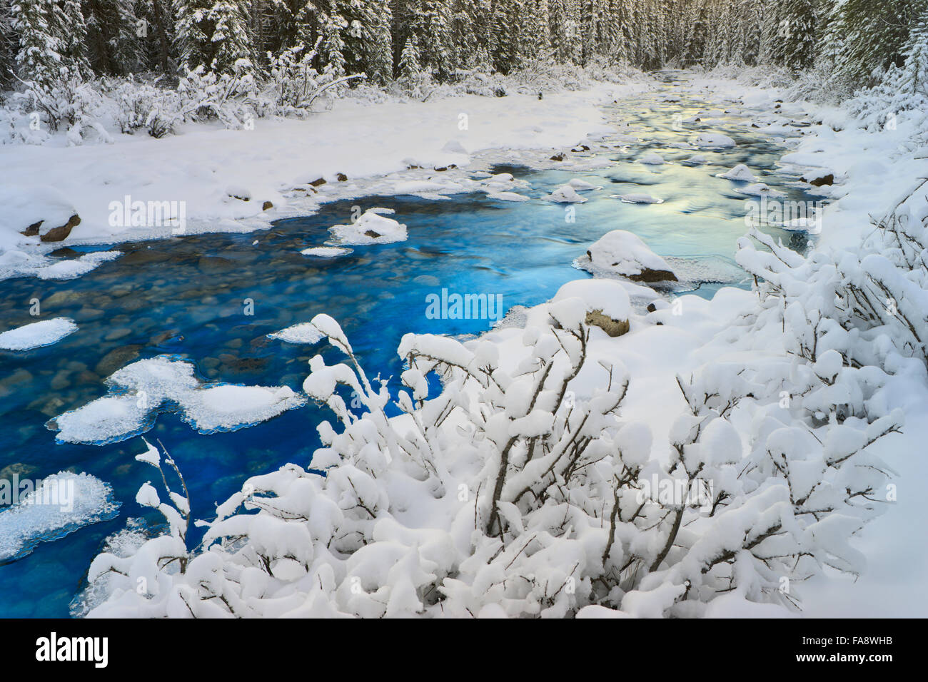 Winter in Jasper National Park, Canada Stock Photo - Alamy