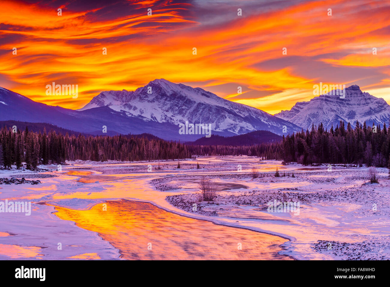 Winter in Jasper National Park, Canada Stock Photo - Alamy