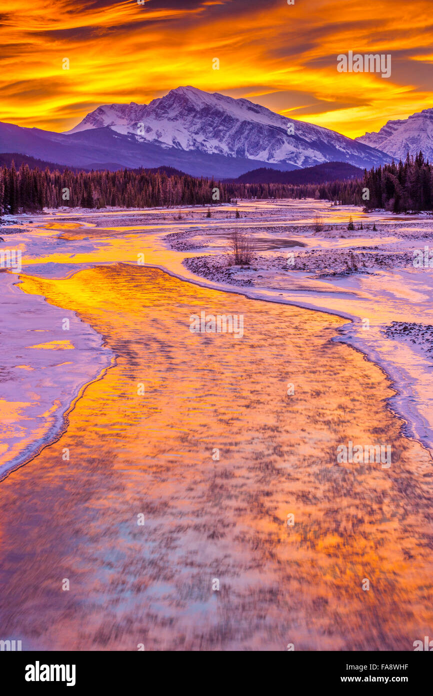 Winter in Jasper National Park, Canada Stock Photo - Alamy