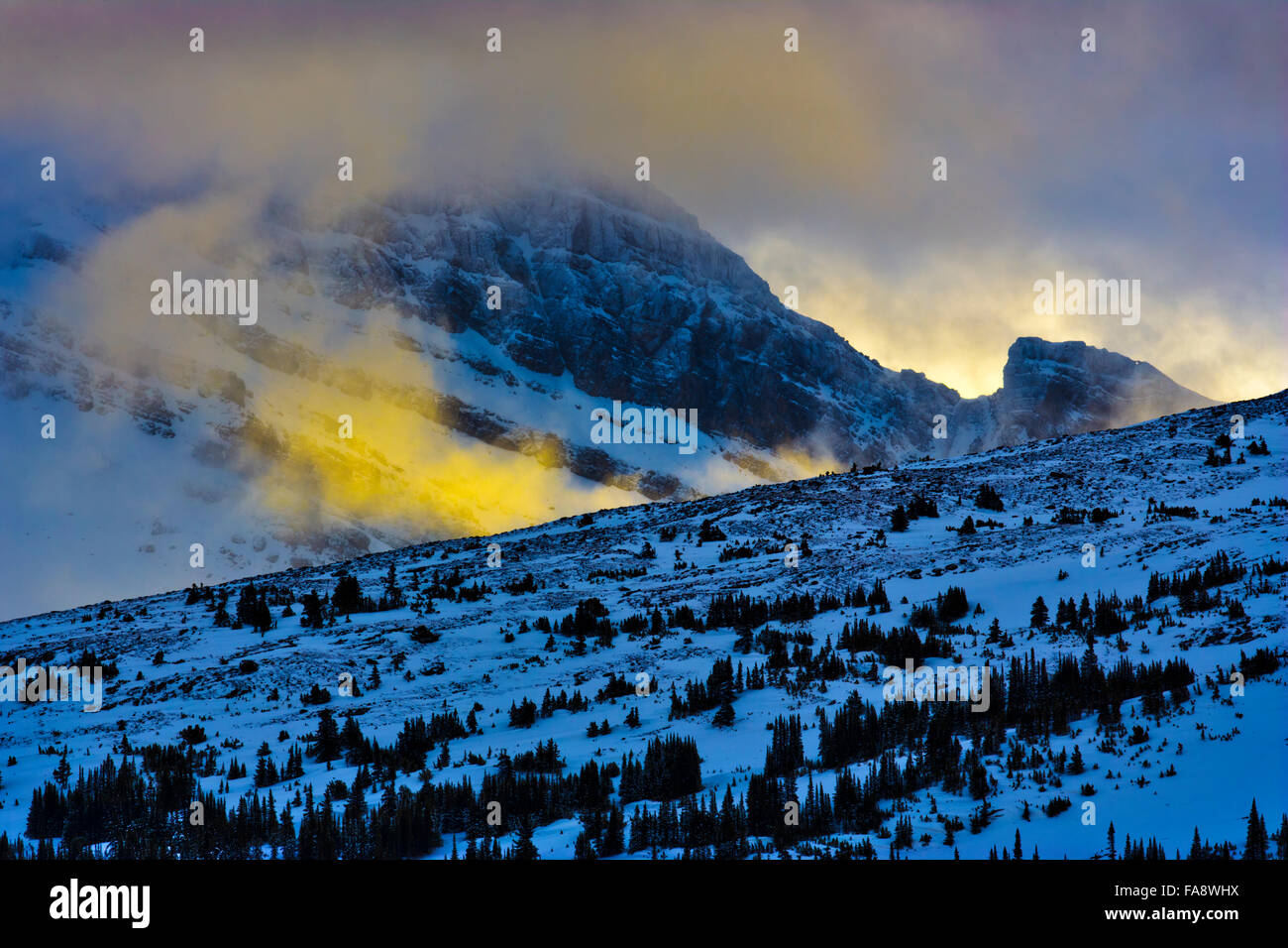 Winter in Jasper National Park, Canada Stock Photo - Alamy