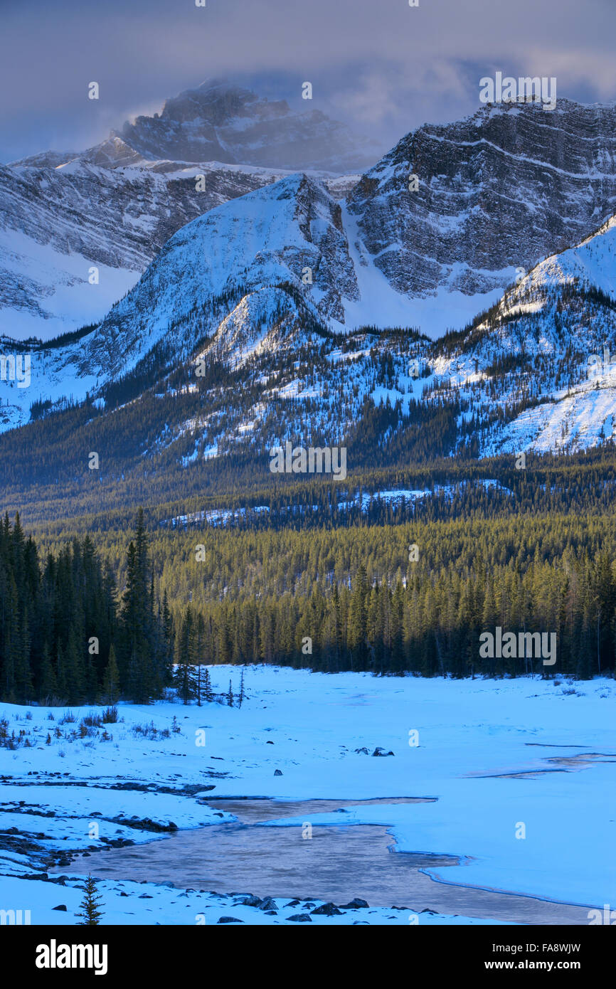 Winter in Jasper National Park, Canada Stock Photo - Alamy