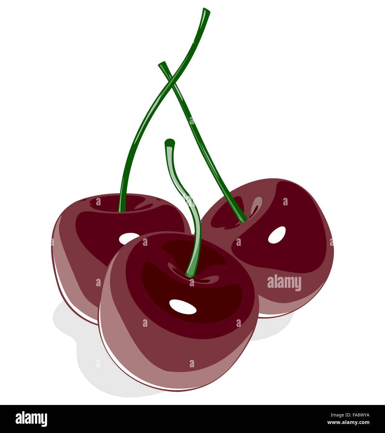Burgundy cherry Stock Vector Images - Alamy