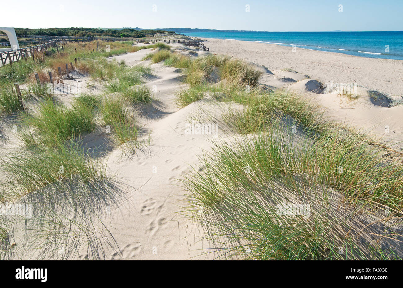 sand dunes in Platamona beach, Sardinia Stock Photo - Alamy