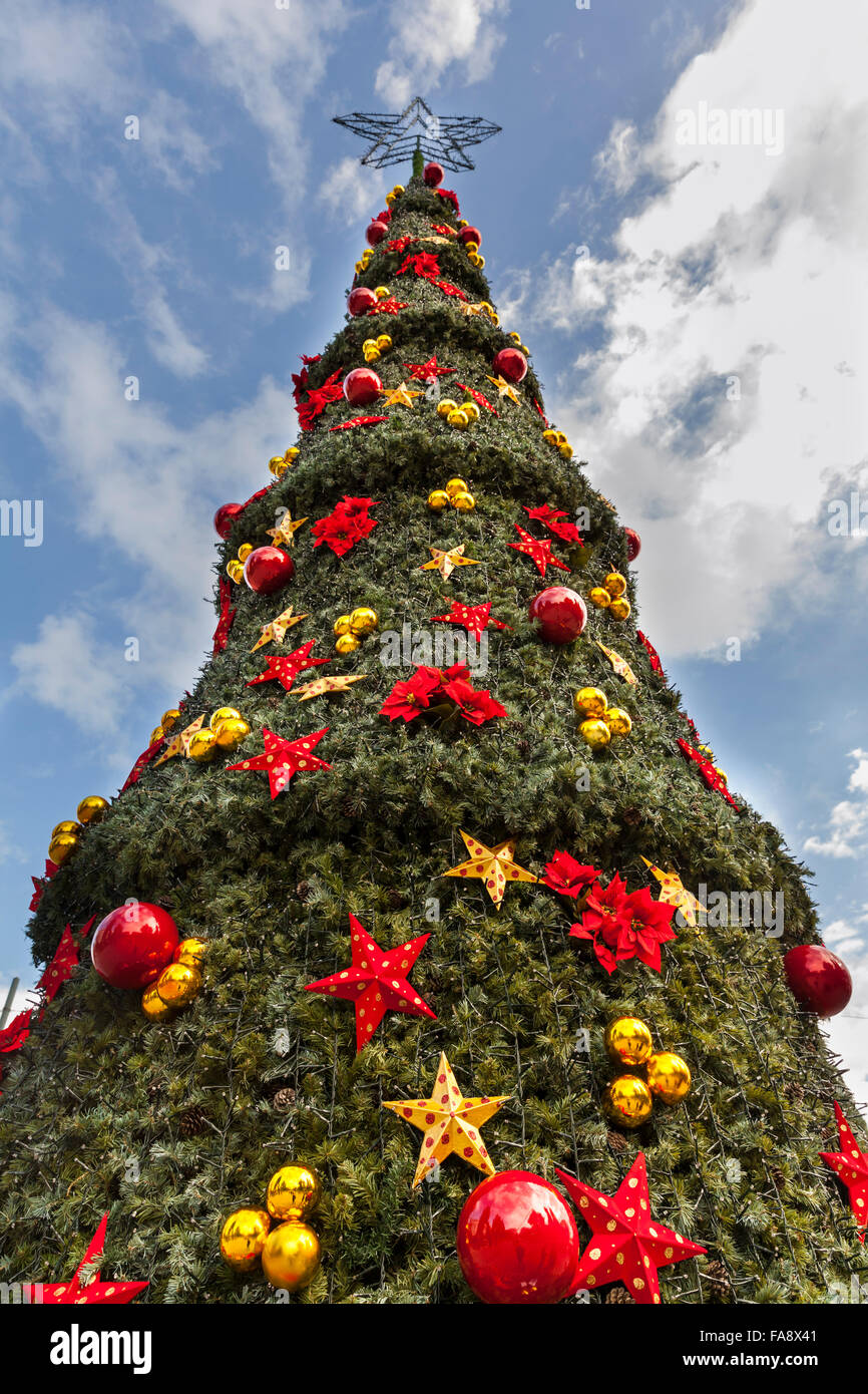 Real christmas tree outdoors hi-res stock photography and images - Alamy