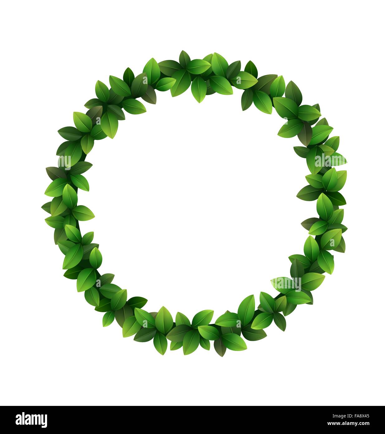 Green leaves circle frame isolated on white Stock Vector Image & Art ...