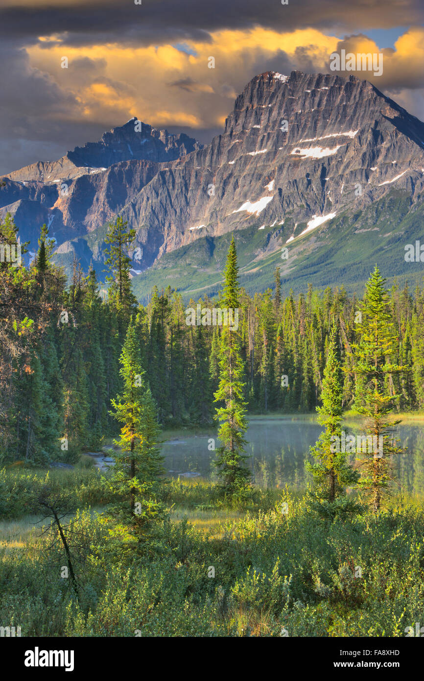 Mount Fryatt in Jasper National Park, Canada Stock Photo - Alamy