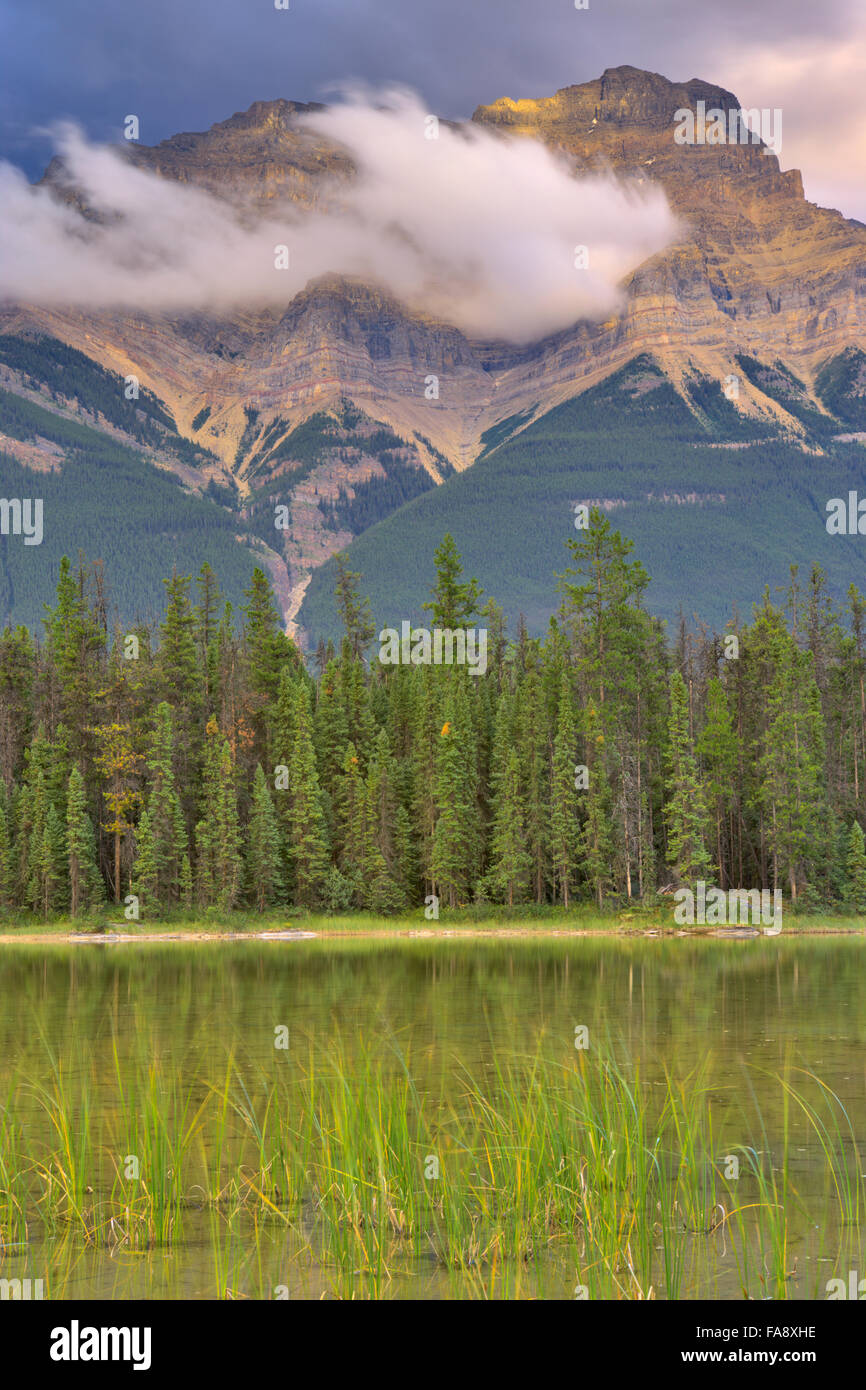Mount Kerkeslin in Jasper National Park, Canada Stock Photo - Alamy