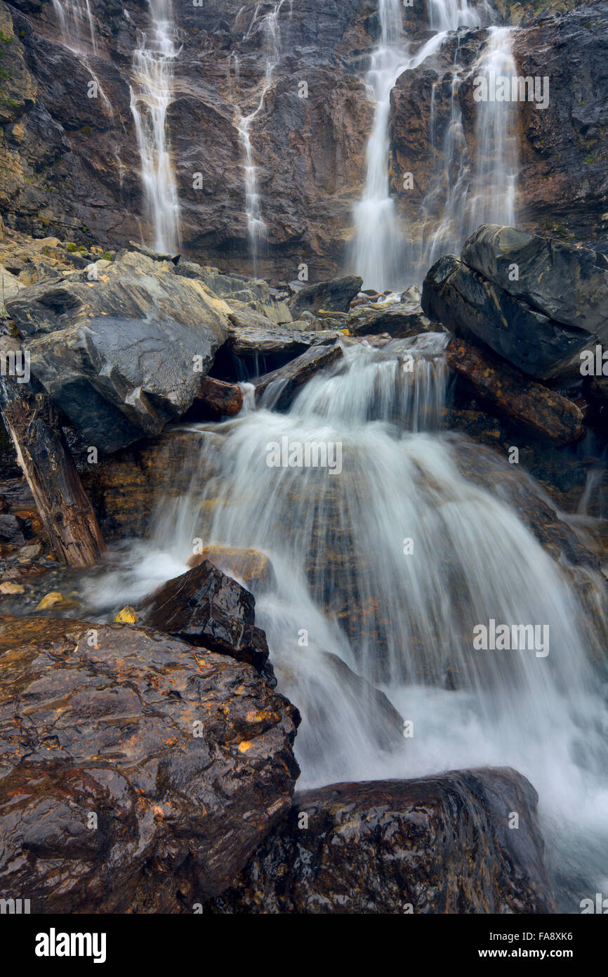 Tangle Falls in Jasper National Park, Canada Stock Photo - Alamy